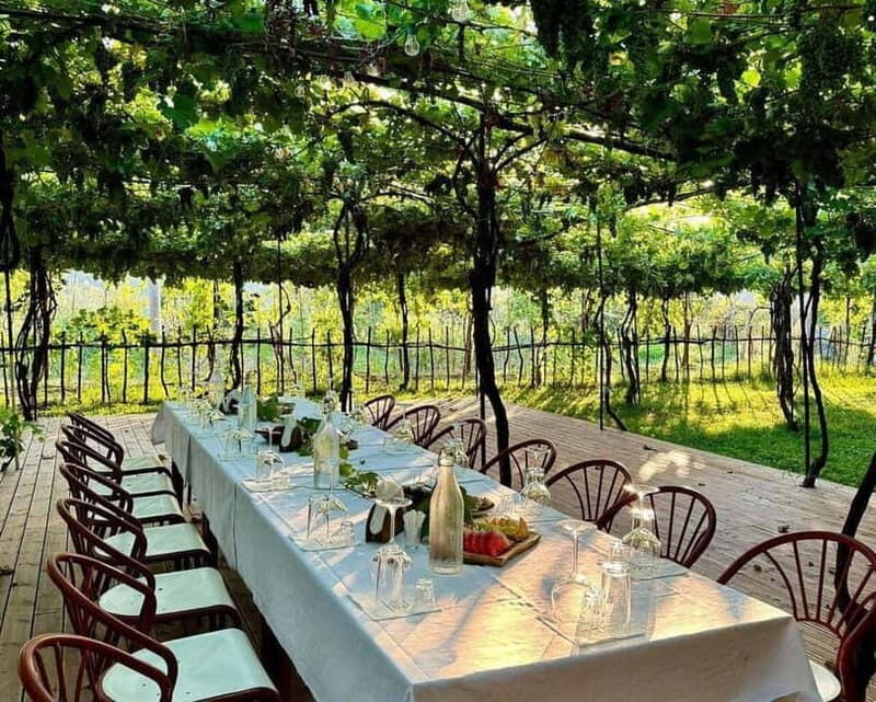 Roshnik: Wine Tasting Experience at the Agrotourism Winery