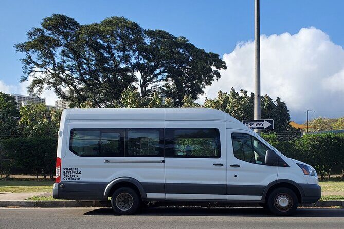 Round Trip North Shore Shuttle from Waikiki to Haleiwa Town / Haleiwa Harbor - What Travelers Say: Authentic Experiences and Friendly Guides