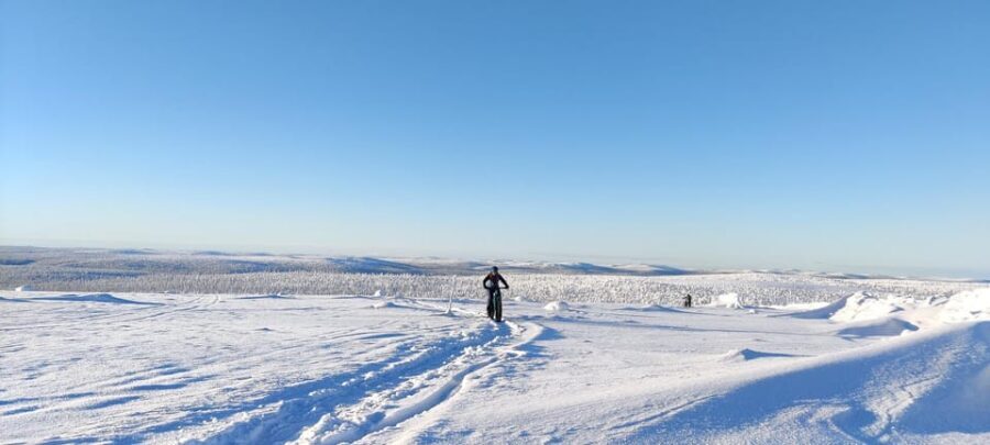 Saariselkä: Guided Fatbike Tour