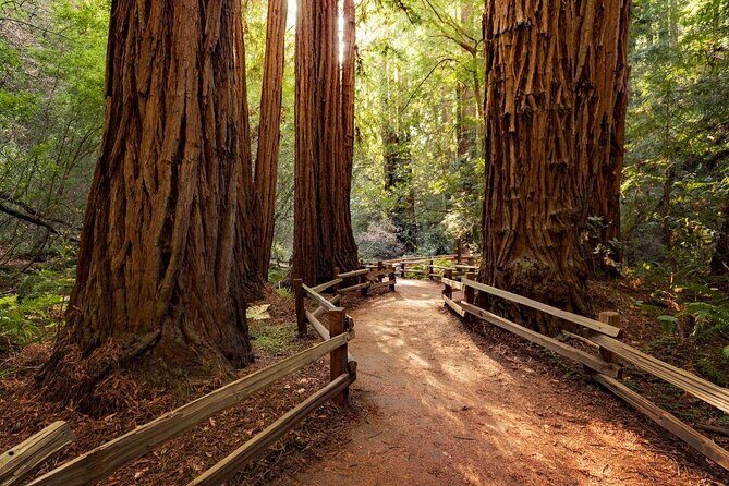 San Francisco City Tour Including Muir Woods and Sausalito - The Sum Up: Who Will Love This Tour?