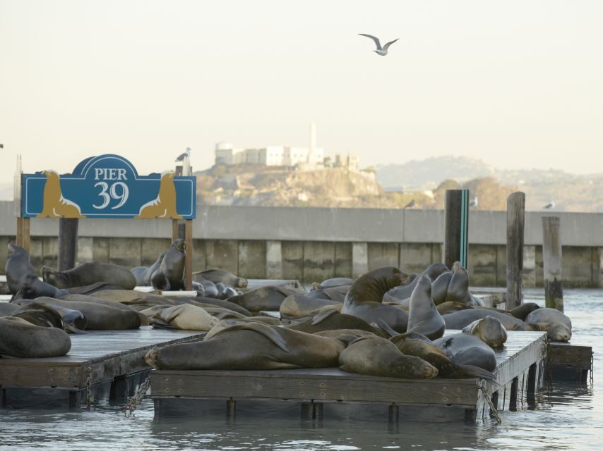 San Francisco CityPASS®: Save 46% at 4 Top Attractions - How to Make the Most of Your Ticket