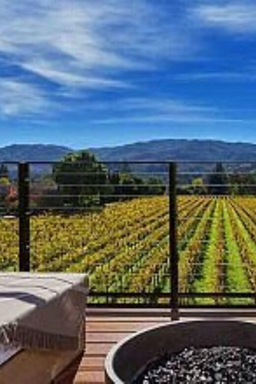San Francisco: Francis Ford Coppola Winery Private Tour - The Highlights of the Tour
