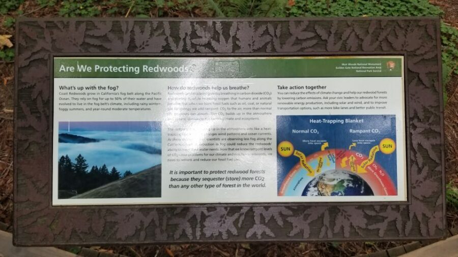 San Fransico: Muir Woods & Marin Headlands Private Tour - Is This Tour Worth the Cost?