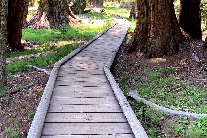 Semi Private Tour to Sequoia National Park with Lunch - An In-Depth Look at the Itinerary and What to Expect
