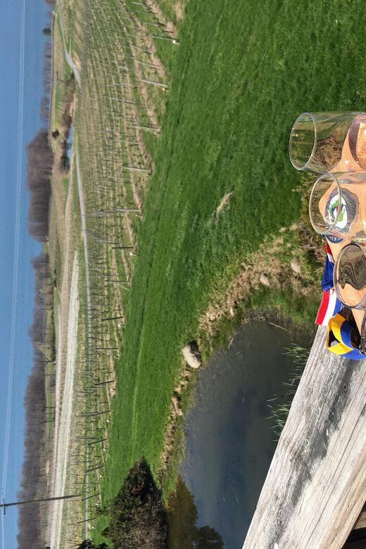 Seneca Lake: Wine Tasting Tour with Lunch - A Closer Look at the Itinerary