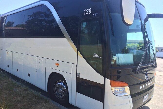 Sf City Tour - What Youll Experience on the Tour