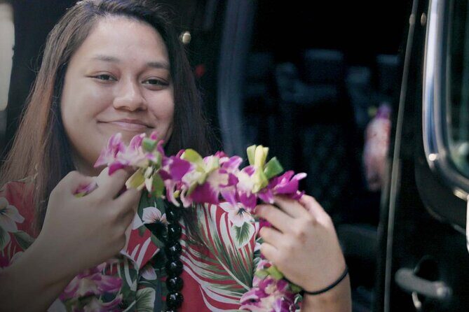 Shared Arrival Transfer: Honolulu Airport to Hotel or Cruise Terminal - Who Is This Transfer Best For?