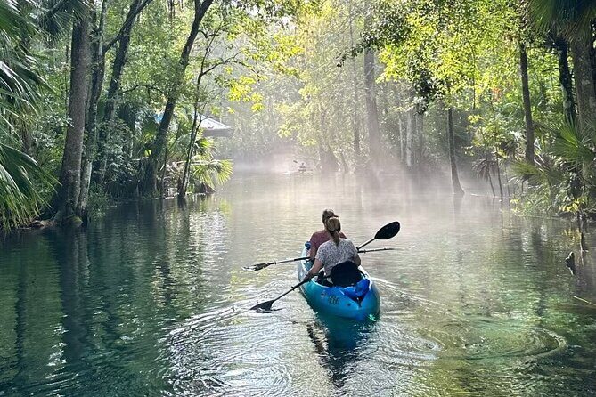Silver Springs Kayak Rental - The Best Florida Adventure - Why This Trip Offers Real Value