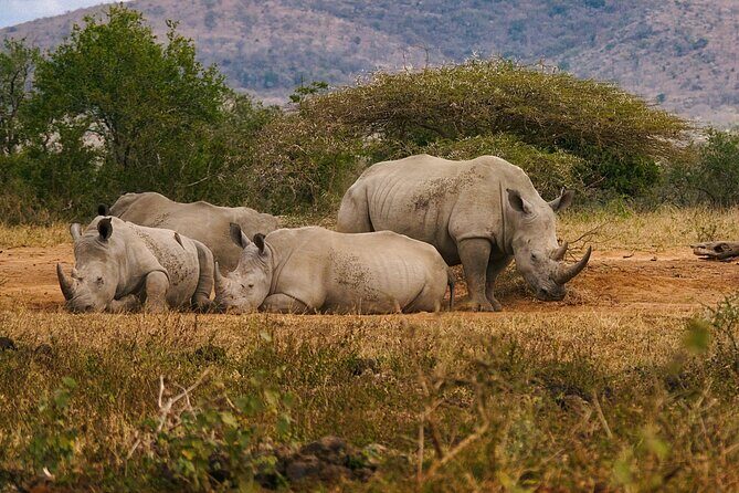 Six Flags Wild Safari Drive-Thru Adventure - FAQs about Six Flags Wild Safari Drive-Thru Adventure