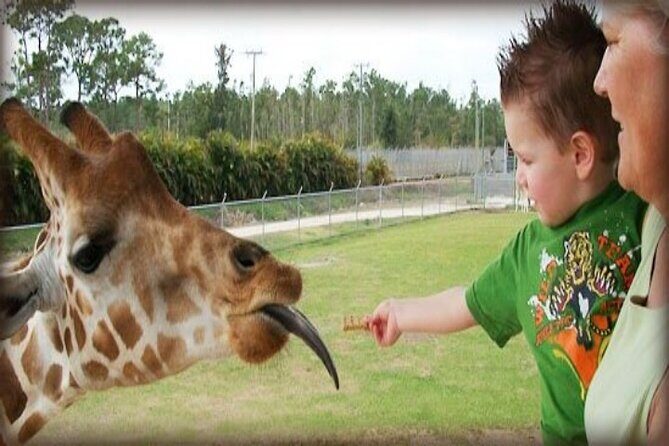 Small Group Fort Lauderdale&Palm Beach Day Tour from Miami FL - What You’ll Experience: An In-Depth Look at the Itinerary