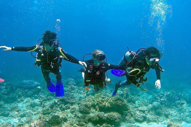 Small-Group Introductory Scuba Diving in Pula