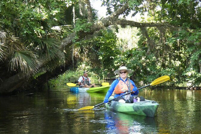 Small Group Scenic Wekiva River Kayak Tour near Orlando - Why the Wekiva River Kayak Tour Stands Out