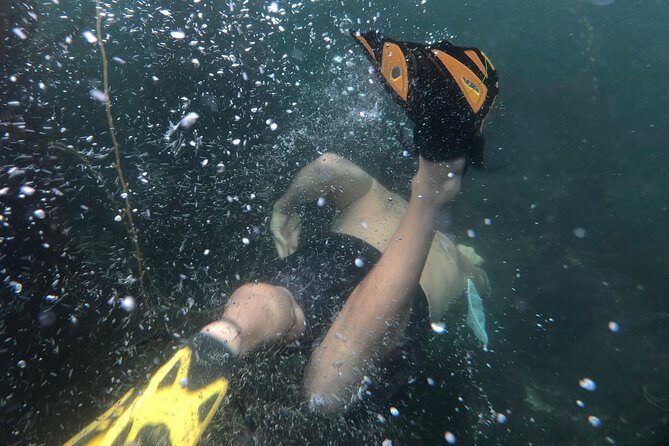Snorkeling Los Angeles - Who Would Love This Experience?