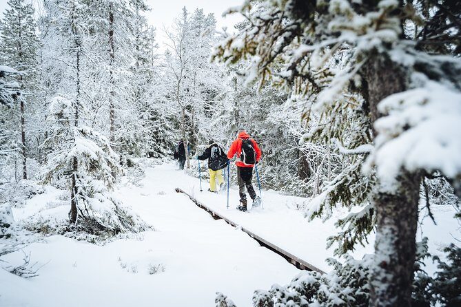 Snowshoe Winter Hike from Stockholm