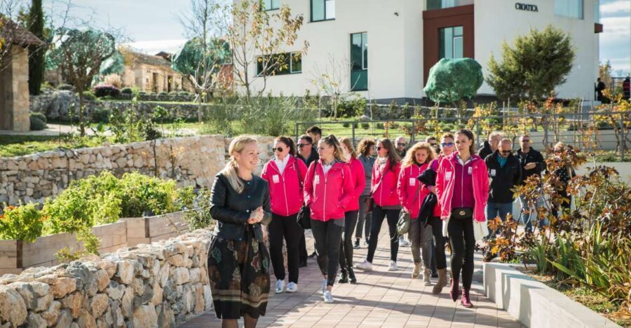 Split: Dalmatia for Nature Lovers Green Line Sightseeing Bus - Transportation and Logistics