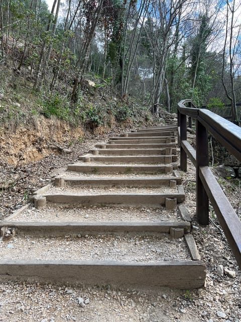 Split: Krka Tours with tour guide, boat ride and swim stop - The Experience from Travelers’ Perspectives