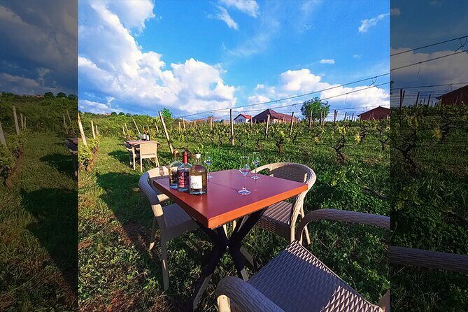 S&S Winery - Wine Tasting Experience in Ohrid