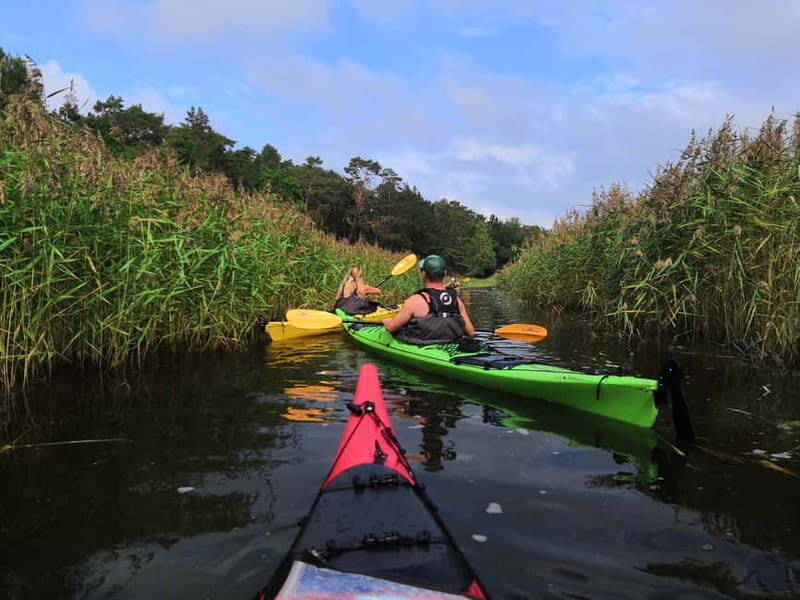 Stockholm: Stockholm Archipelago Full-Day Kayak Tour