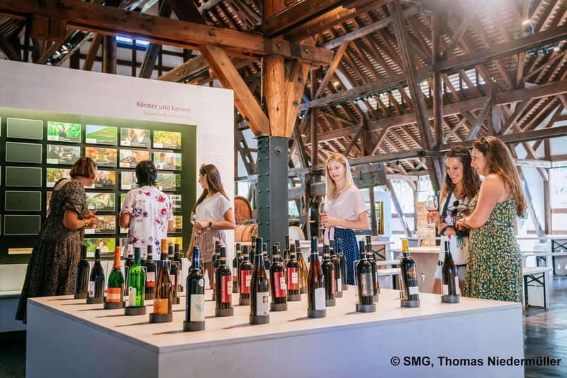 Stuttgart: Taster tour of the Wine Museum incl. 0.1 l wine