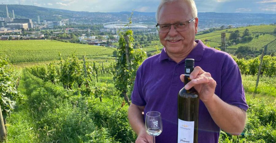 Stuttgart: Wine Tour with wines of the best winemakers