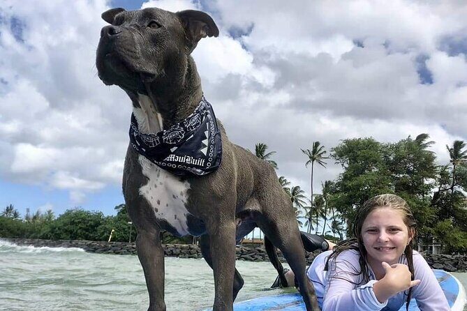 Surf with a Service Animal - Practical Details