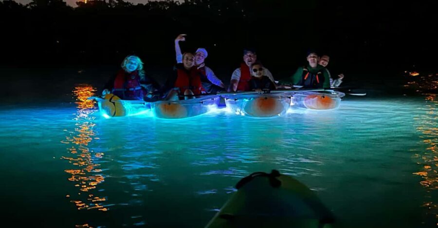 Tampa: Clear Glowing Kayak Nighttime Tour - Exploring the Itinerary: What to Expect