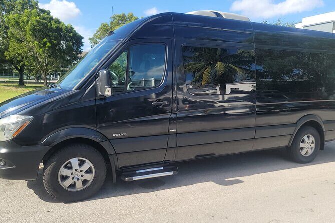 The Life Tours - Why This Transportation Service Is Worth Considering