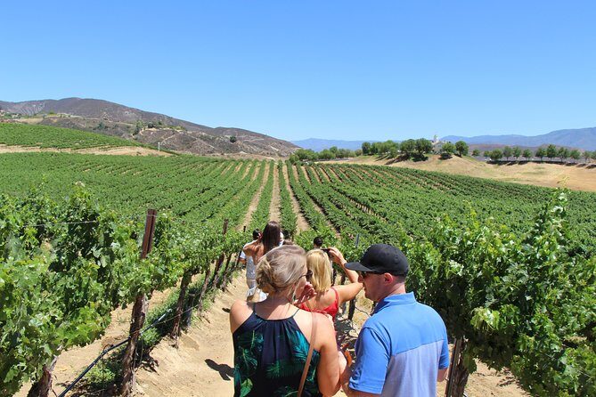 The Temecula Wine Tour from Anaheim - What Do Guests Say? Authentic Insights