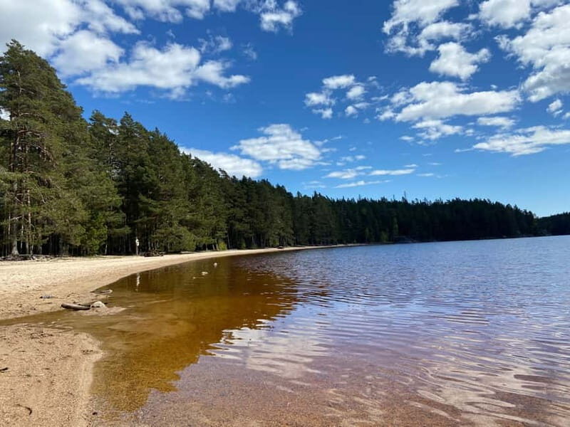 Tiveden National park: Summer guided walk around Stenkälla