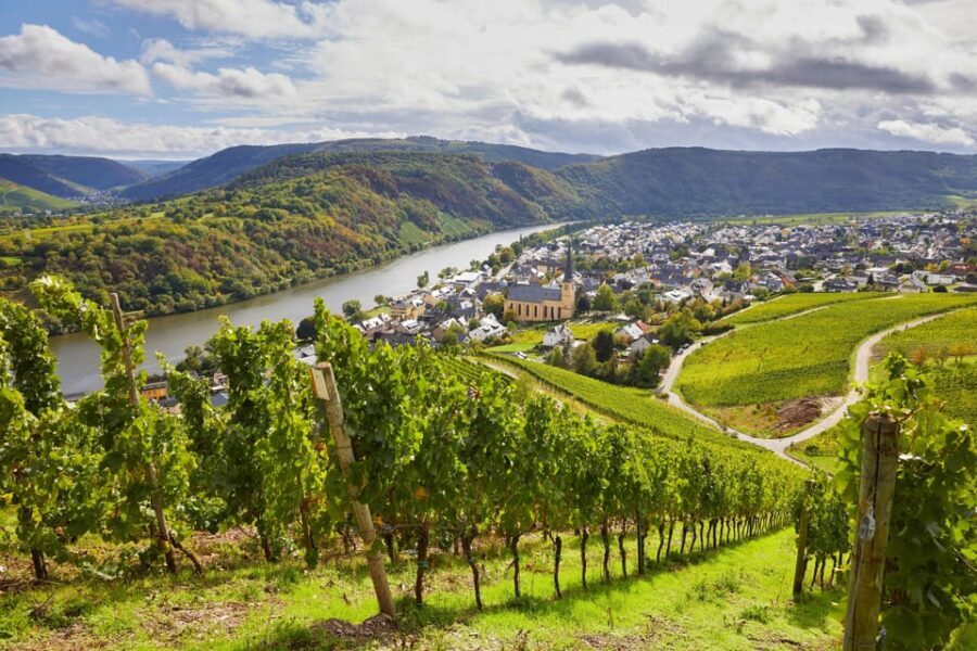 Traben-Trarbach / Bernkastel-Kues, Moselle: Wine experience hike