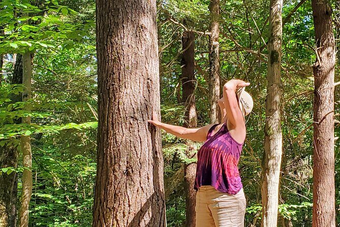 Transformative Forest Escape: A Mindful Journey for Inner Calm - The Itinerary: What to Expect