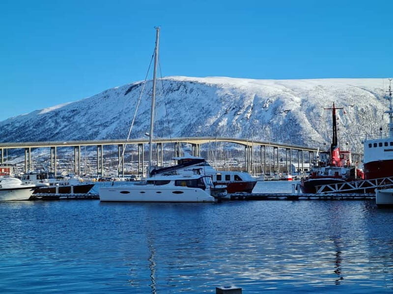 Tromsø: Arctic Fjord Sightseeing Cruise in Luxury Catamaran