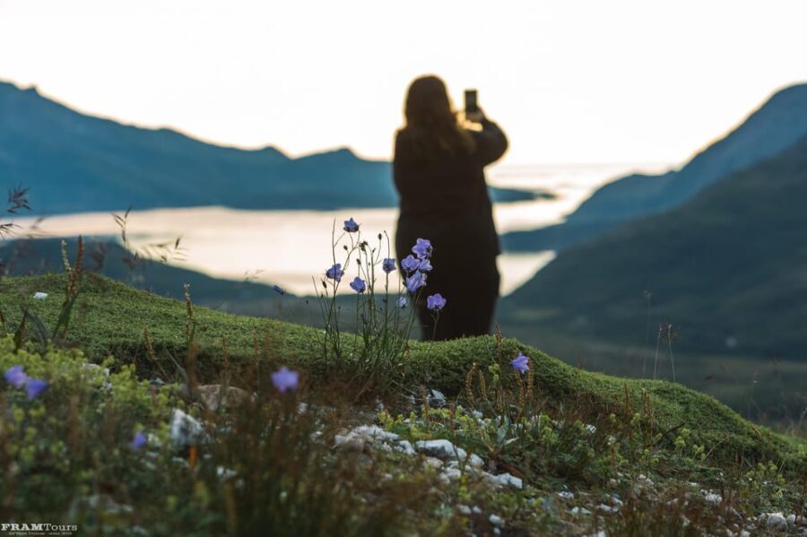 Tromso: Evening guided Fjord Expedition & Kvaløya Island