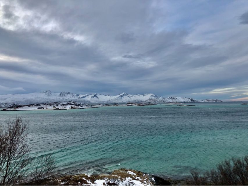 Tromsø: Fjords and Sommarøy Islands Tour with Salmon Picnic