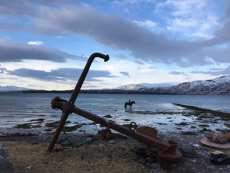 Tromsø: Horseback Riding Tour