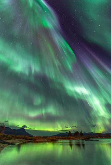 Tromsø: Northern Lights Tour with Local Guide and Photos