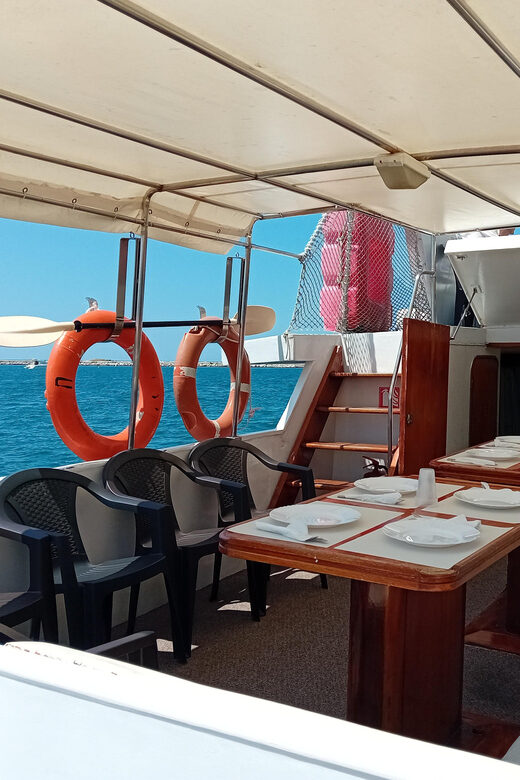 UMAG: Swimming&Panorama / Welcome Drink and Dolphin spotting