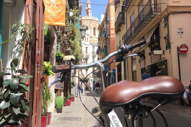 Valencia Old Town Private Tour by Bike or Electric Ride - Why Choose a Private Bike or Electric Tour?