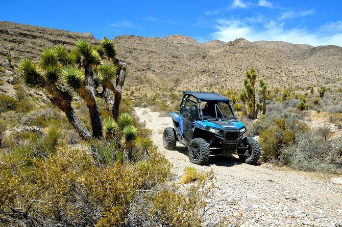 Vegas Desert RZR Adventure with Lunch at the Pioneer Saloon - Discovering Goodsprings: A Town Frozen in Time
