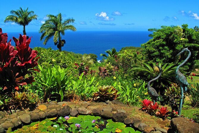Viator Exclusive: Maui Tropical Rainforest Small Group Tour - A Deeper Dive into the Maui North Shore Tour