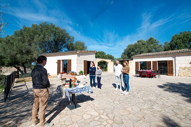 Visit the Finca and olive grove, extra virgin olive oil tasting and snack - Price and Value Considerations