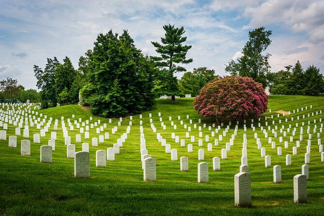 Washington DC Day Tour from New York City - The Experience: What You Can Expect