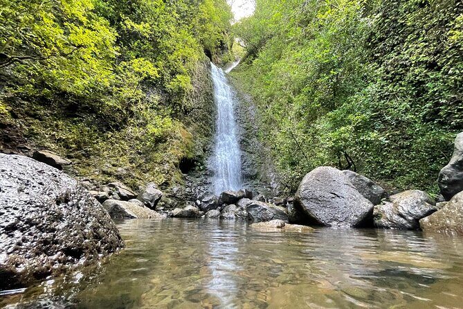 Waterfall Hike in Hawaii - Private Transportation/Group - Final Thoughts: Is It Worth It?