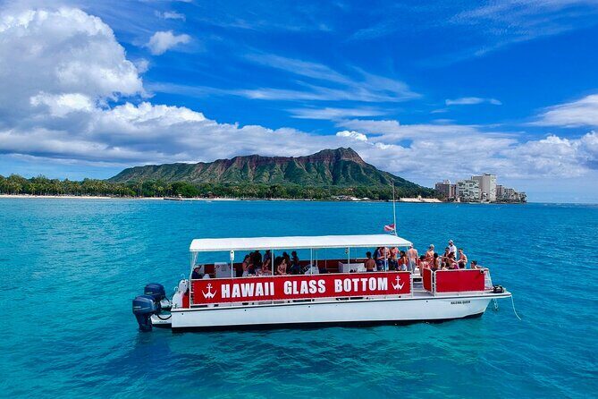 Whale Watch, Dolphins, Turtles and Sightseeing Cruise - Who Should Consider This Tour?