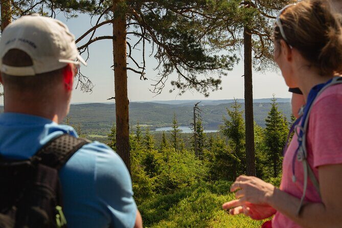 Wildlife Forest Hike