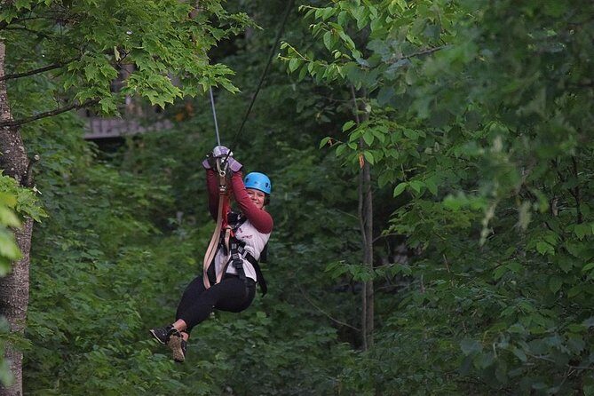 Wildman Zip Line Tour - The Course – A Closer Look