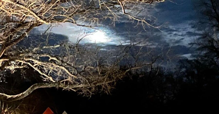 Williamsburg: Dead of Night Paranormal investigations Tour - Who Would Love This Tour?