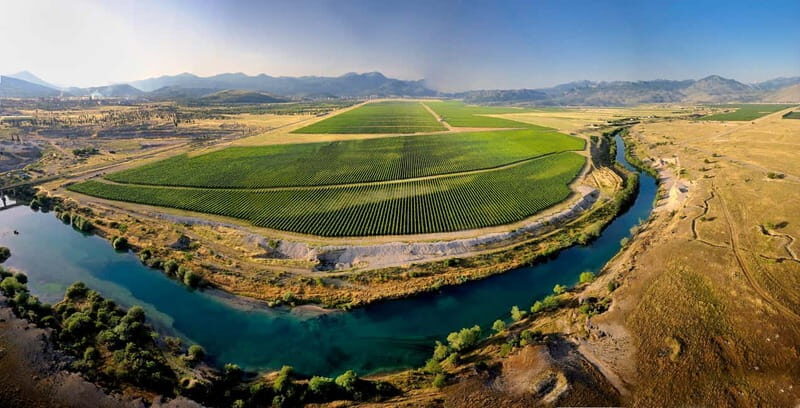 WINE TOUR: Recommended for hedonists!