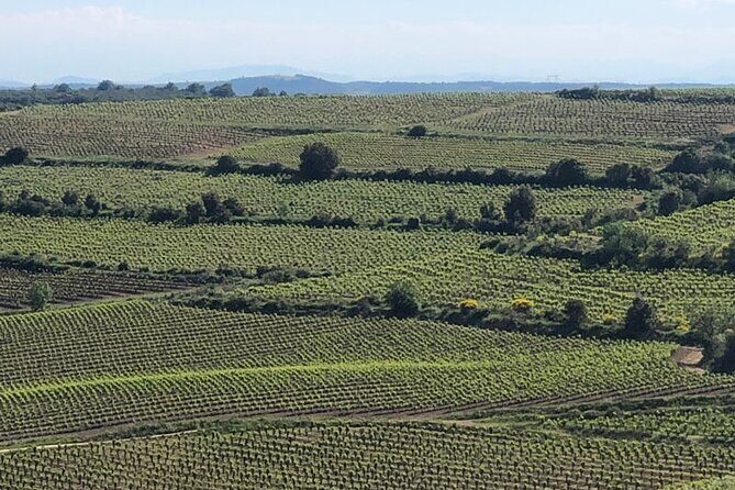 Wine Tours and Tastings from Béziers