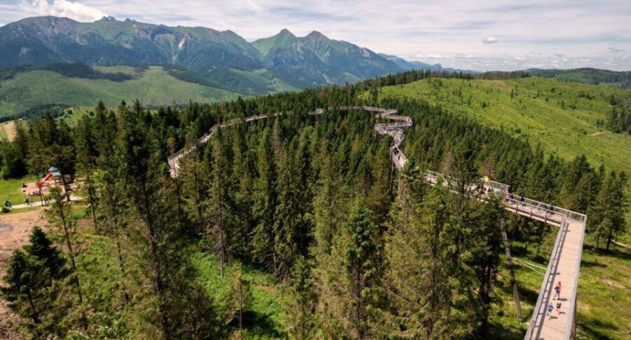 Zakopane: Bachledka Treetop Walk and Strbske Pleso Tour